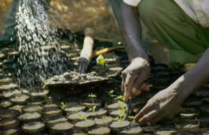 Planning for NDC implementation: A Quick-Start Guide | Introduction